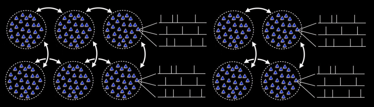 Notes on neural mass models | LoganThrasherCollins.com